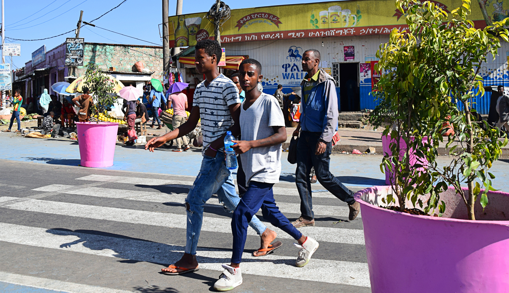 Addis Ababa Launches Safe Intersections Program - Global Designing ...