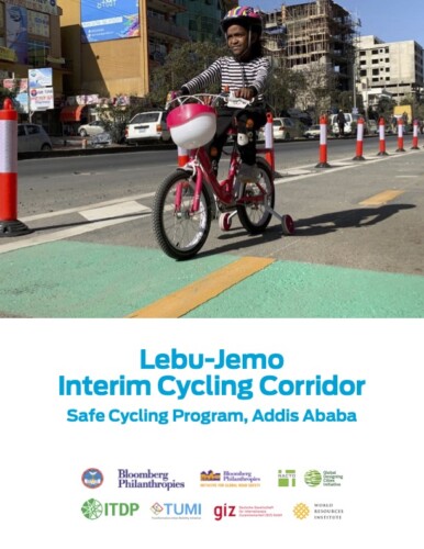 Guides & Publications - Global Designing Cities Initiative